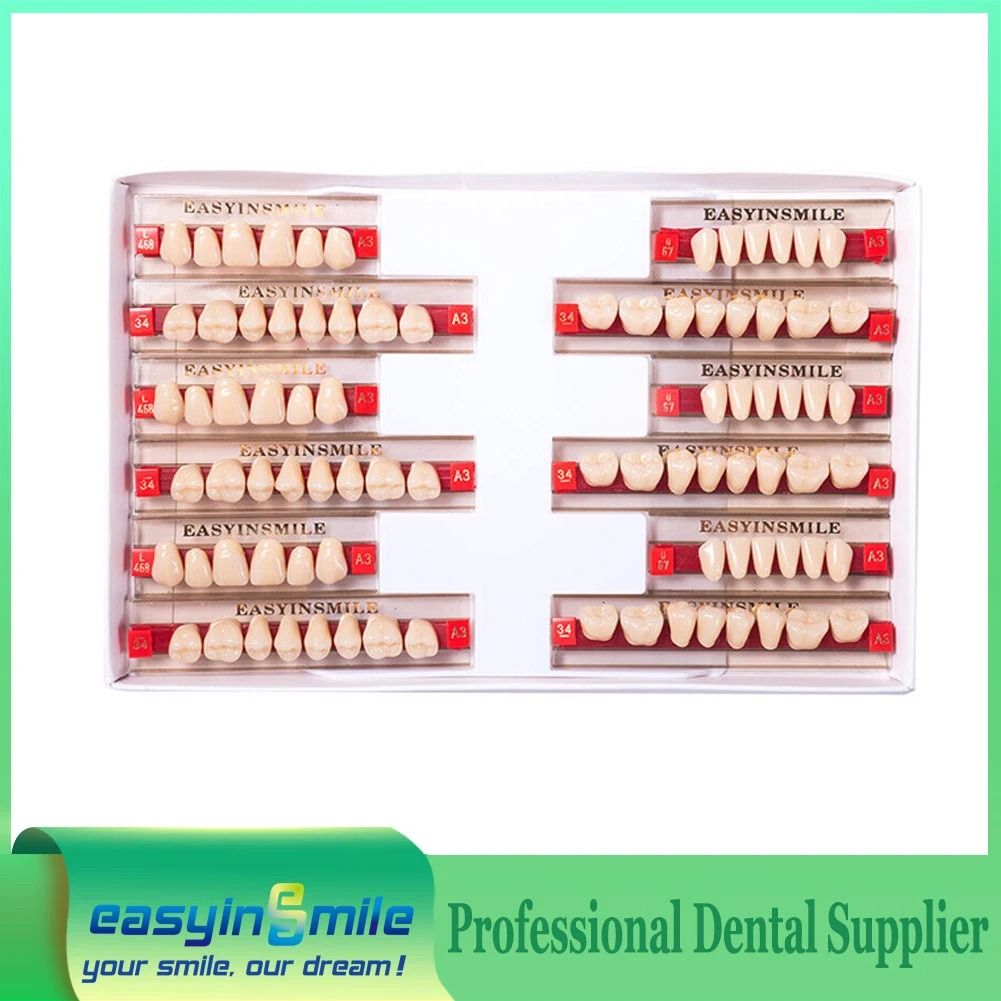 A1 A2 A3 Denture Teeth Dental Education Model Fake teeth Upper Lower ...