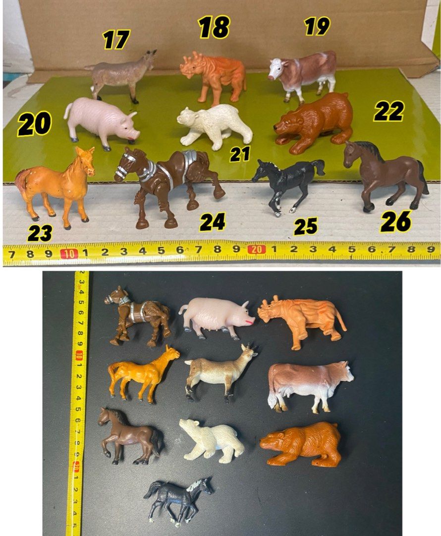 Animals Whales fishes crocodiles frogs bears pigs sharks horses ...