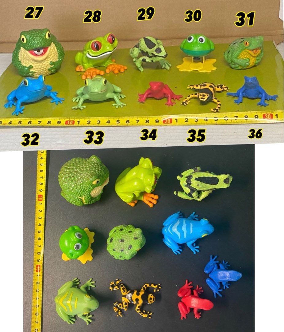 Animals Whales fishes crocodiles frogs bears pigs sharks horses ...