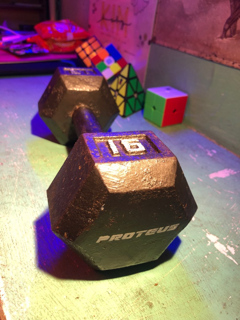 Proteus dumbbell 16 lbs, Sports Equipment, Exercise & Fitness, Weights ...