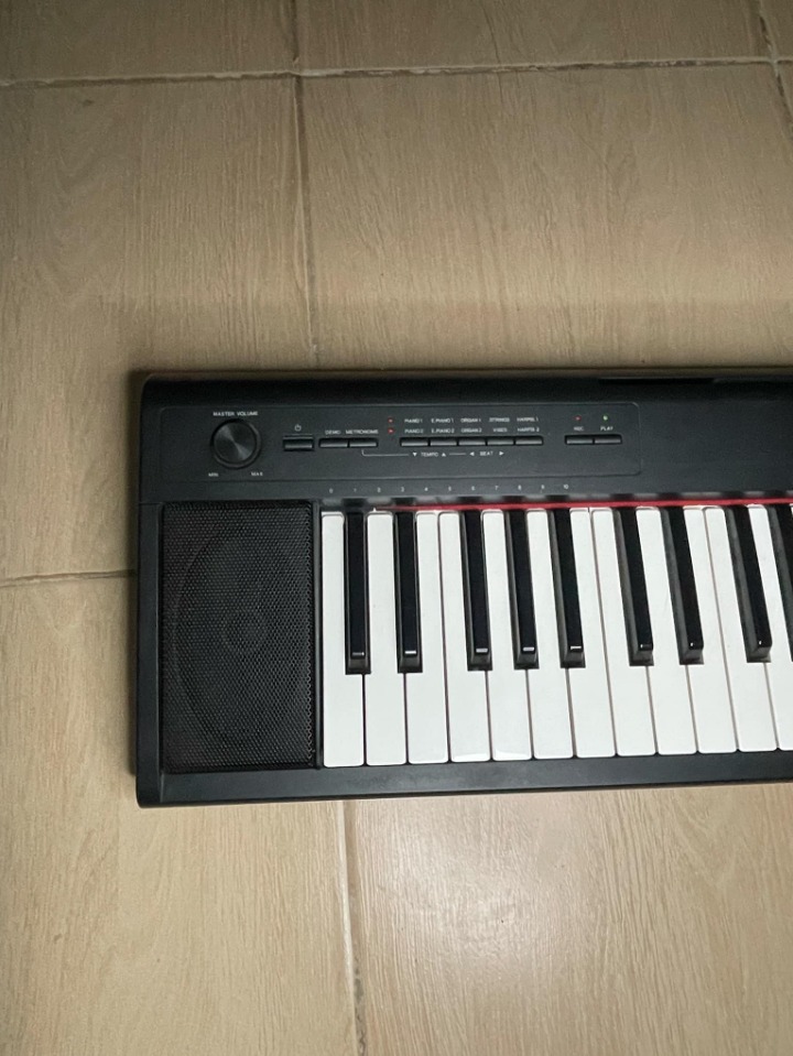 Yamaha Piaggero NP-12 Piano RUSH, Hobbies & Toys, Music & Media ...