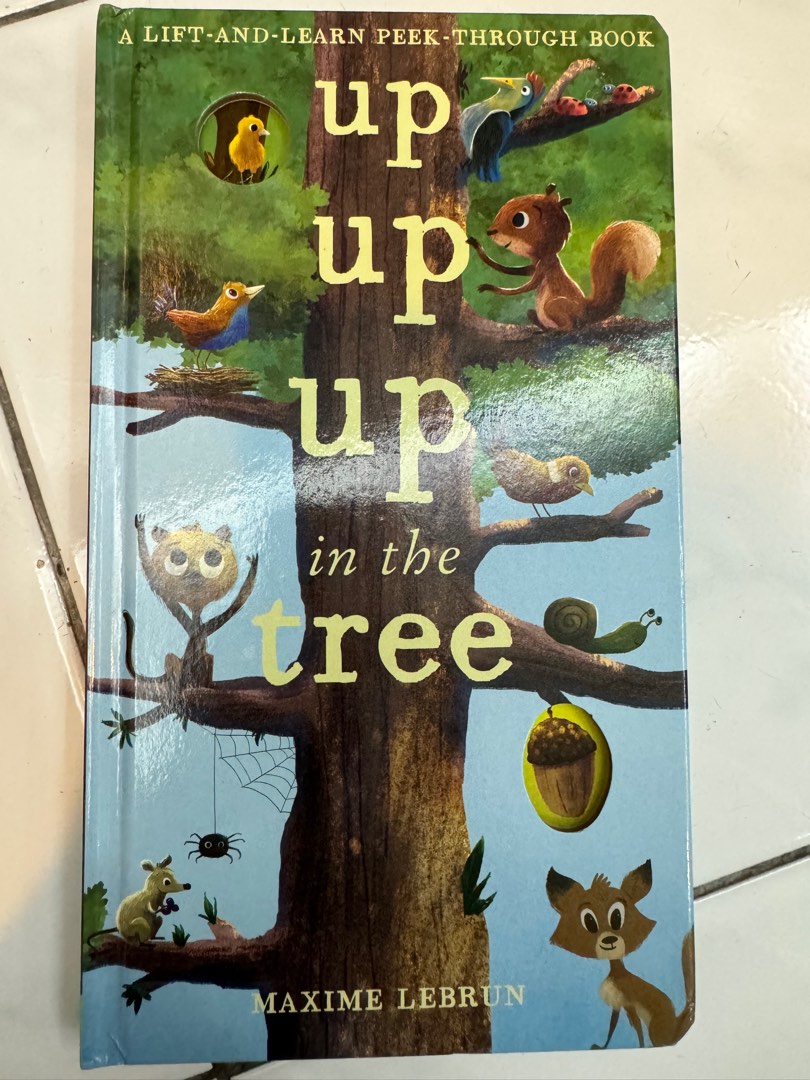 A Lift-And-Learn Peek-Through Book: Up Up Up In The Tree, Hobbies ...