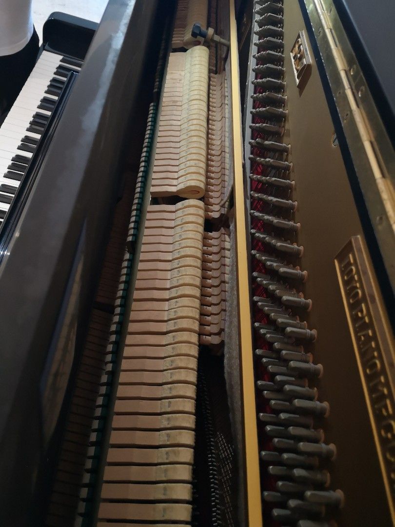 Apollo upright piano, Hobbies & Toys, Music & Media, Musical ...