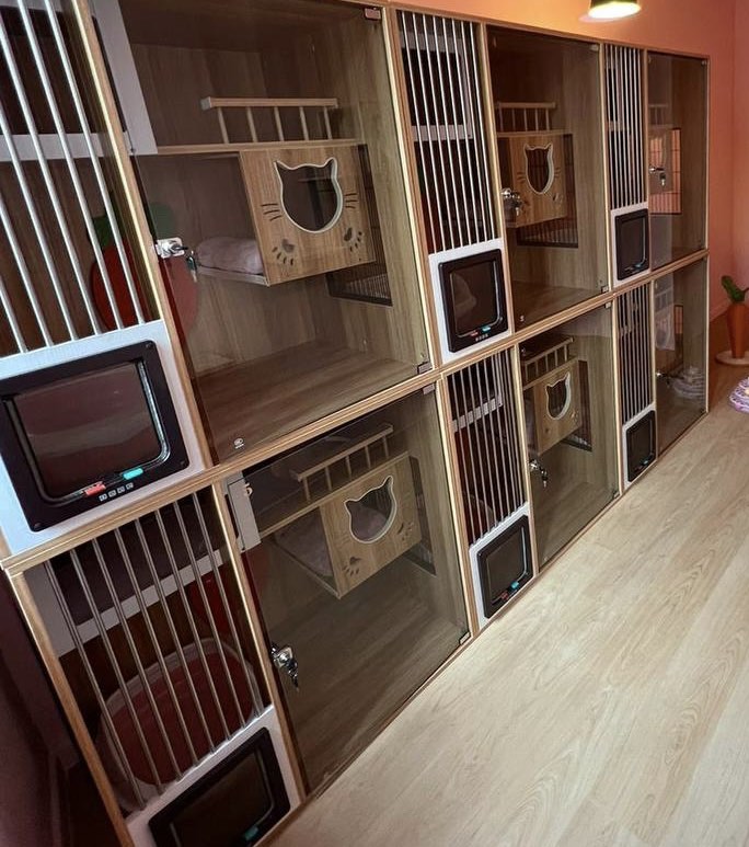 Cat cabin cage, Pet Supplies, Homes & Other Pet Accessories on Carousell