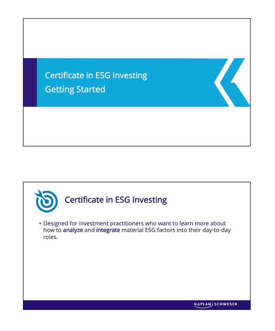 CFA ESG Investing Notes 2024, Hobbies & Toys, Books & Magazines ...