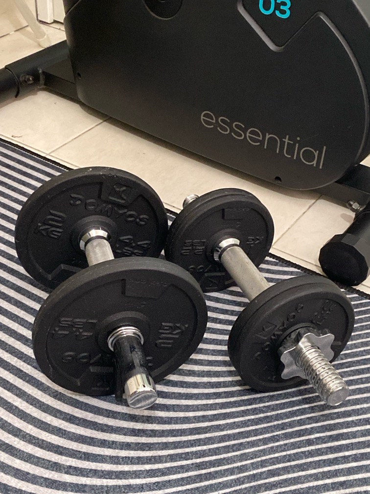 Dumbbell 12kg, Sports Equipment, Exercise & Fitness, Weights & Dumbells ...