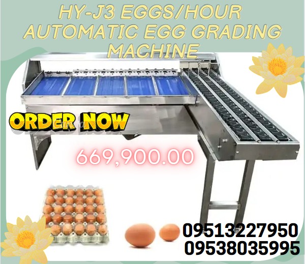 HY-J3 eggs/hour automatic egg grading machine, Commercial & Industrial ...