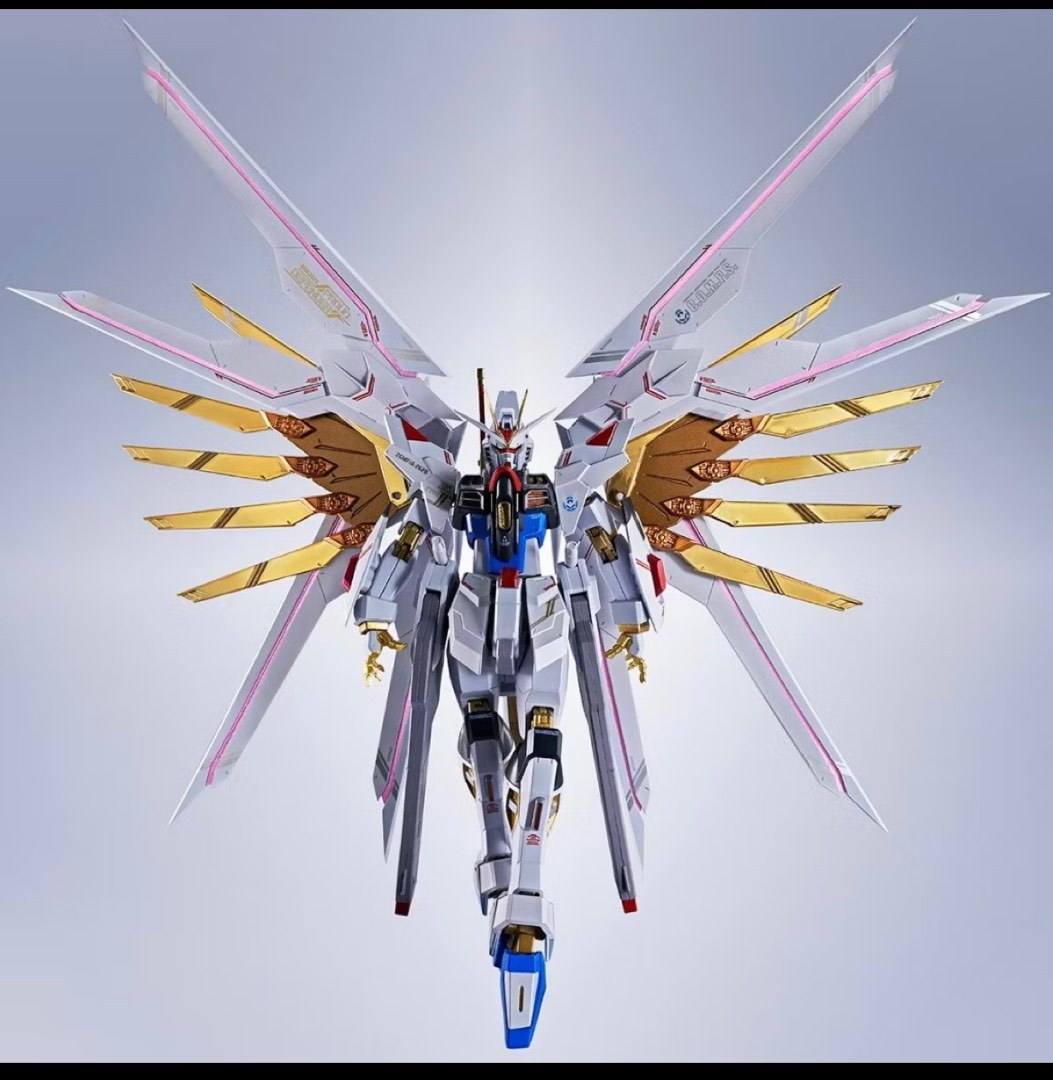 [Pre-Order] Metal Robot Spirits Strike Freedom Type II, Injustice Type ...