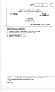 2024 PSLE Science Past Year Papers 2019-2023 5 Year Series, Hobbies ...