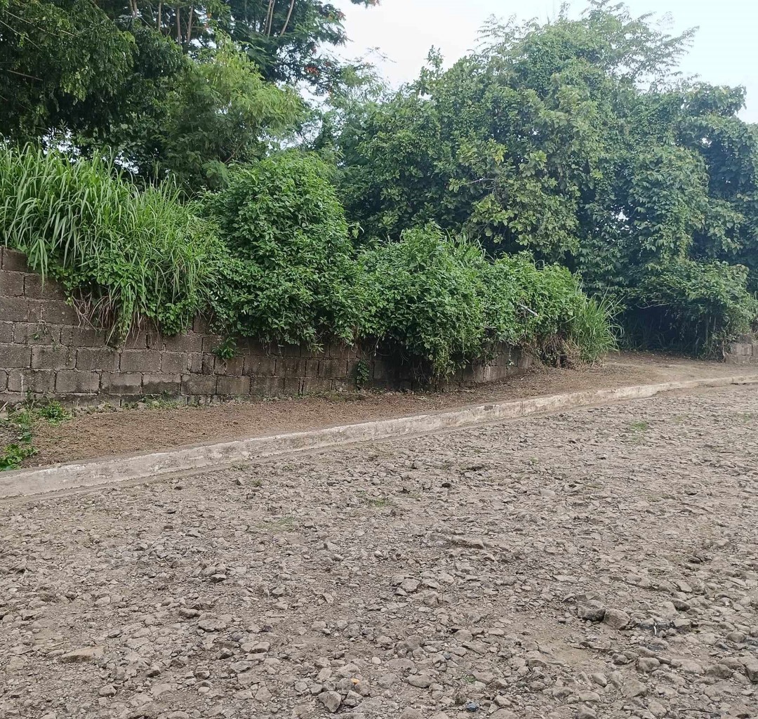 🏡 Residential Vacant Lots for Sale in Potenciana Village, Batangas City ...