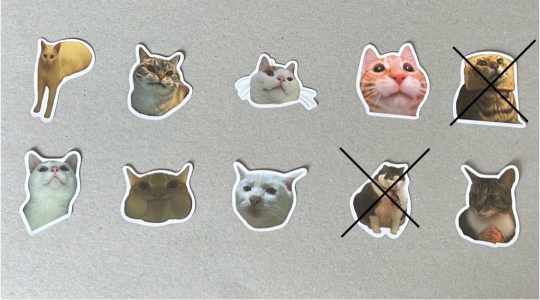 Cat meme stickers, Hobbies & Toys, Stationery & Craft, Art & Prints on ...