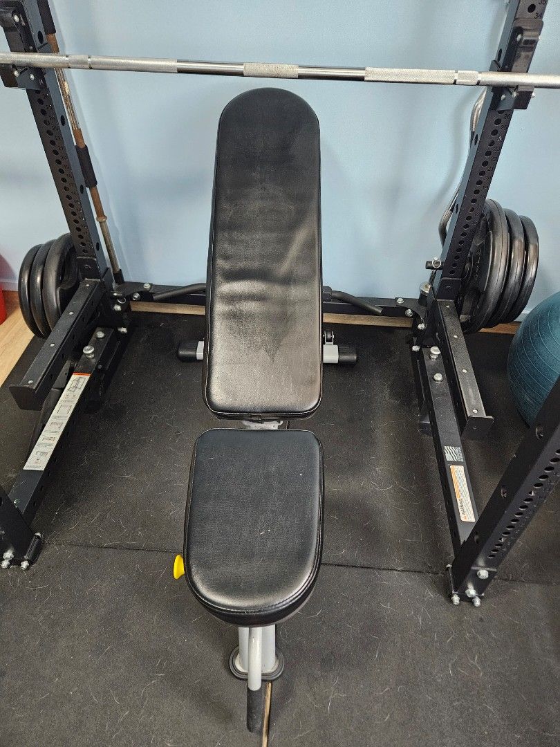Workout Bench Gym, Sports Equipment, Exercise & Fitness, Cardio ...