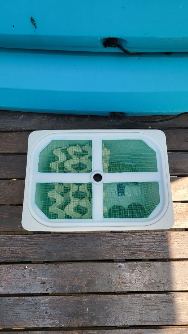 Complete Dubia Roach Breeding Enclosure - Start Your Own Colony!, Pet ...