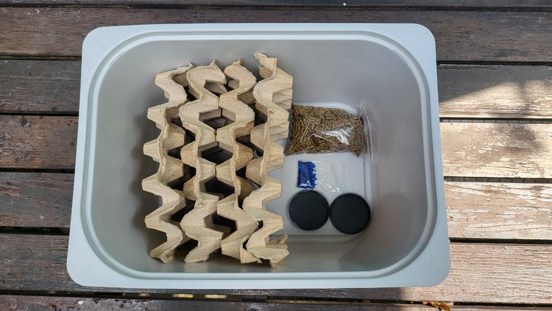 Complete Dubia Roach Breeding Enclosure - Start Your Own Colony!, Pet ...