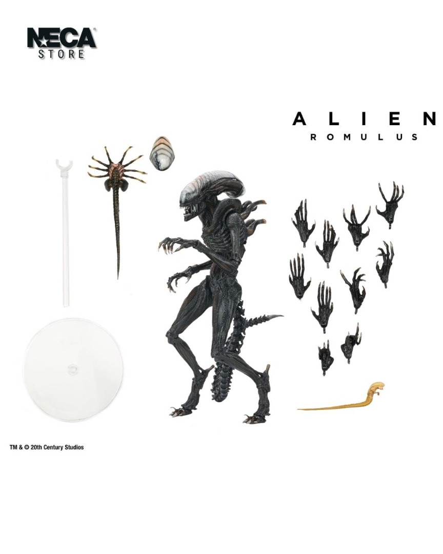 NECA Official : Alien Romulus & Accessory Set, Hobbies & Toys, Toys ...
