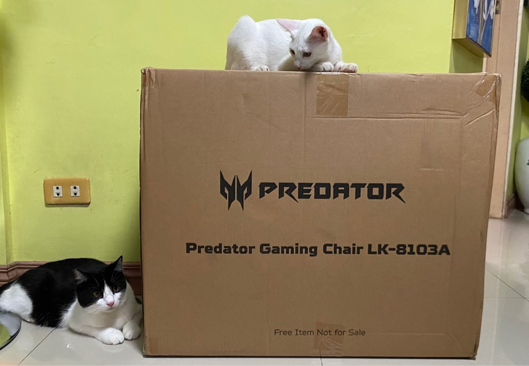 Predator Gaming Chair, Furniture & Home Living, Furniture, Chairs on ...