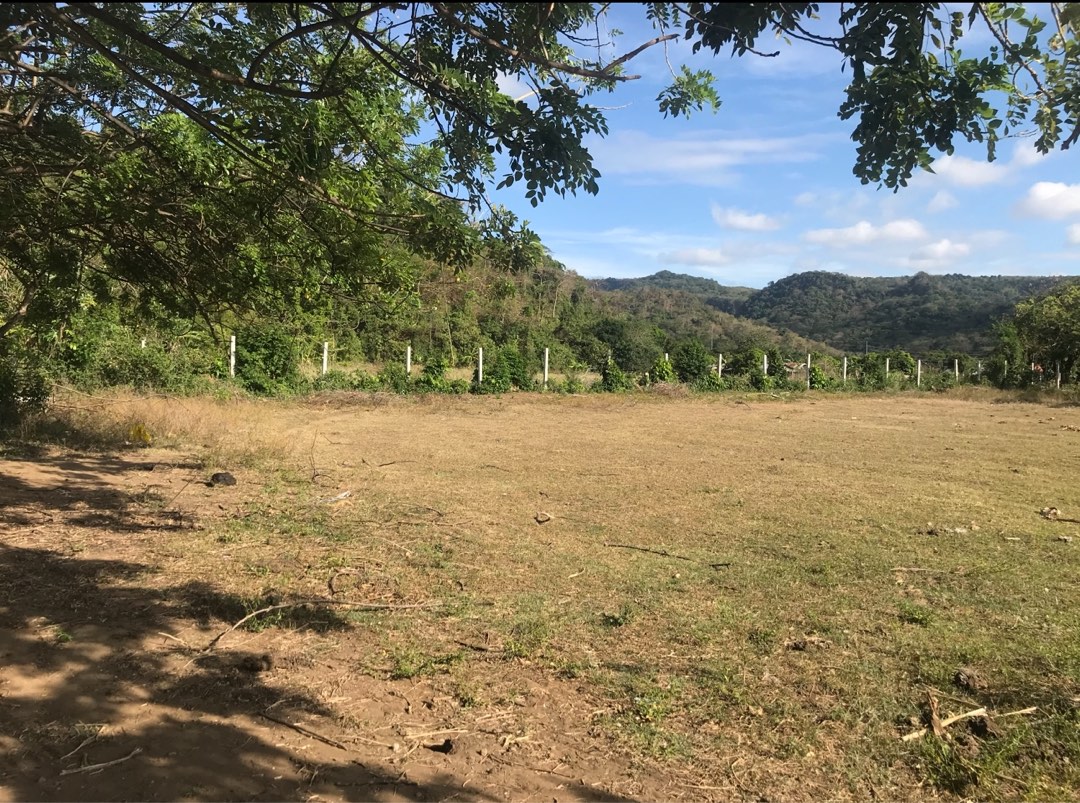 Calayo Nasugbu Batangas Beach lot 500 sqm for sale ( 80-100 meters away ...