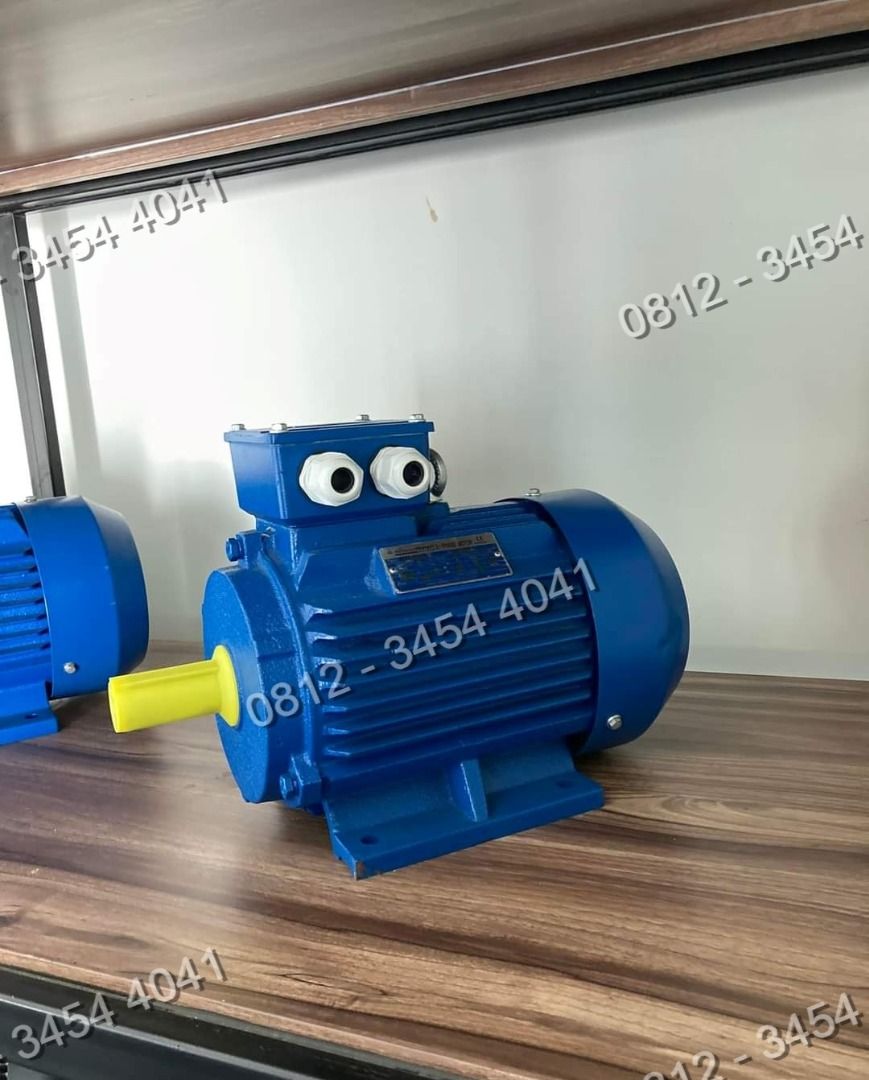 Dinamo Motor 1/4 hp 750rpm - Electric 0.25hp 1000 RPM 380V, Motor di ...