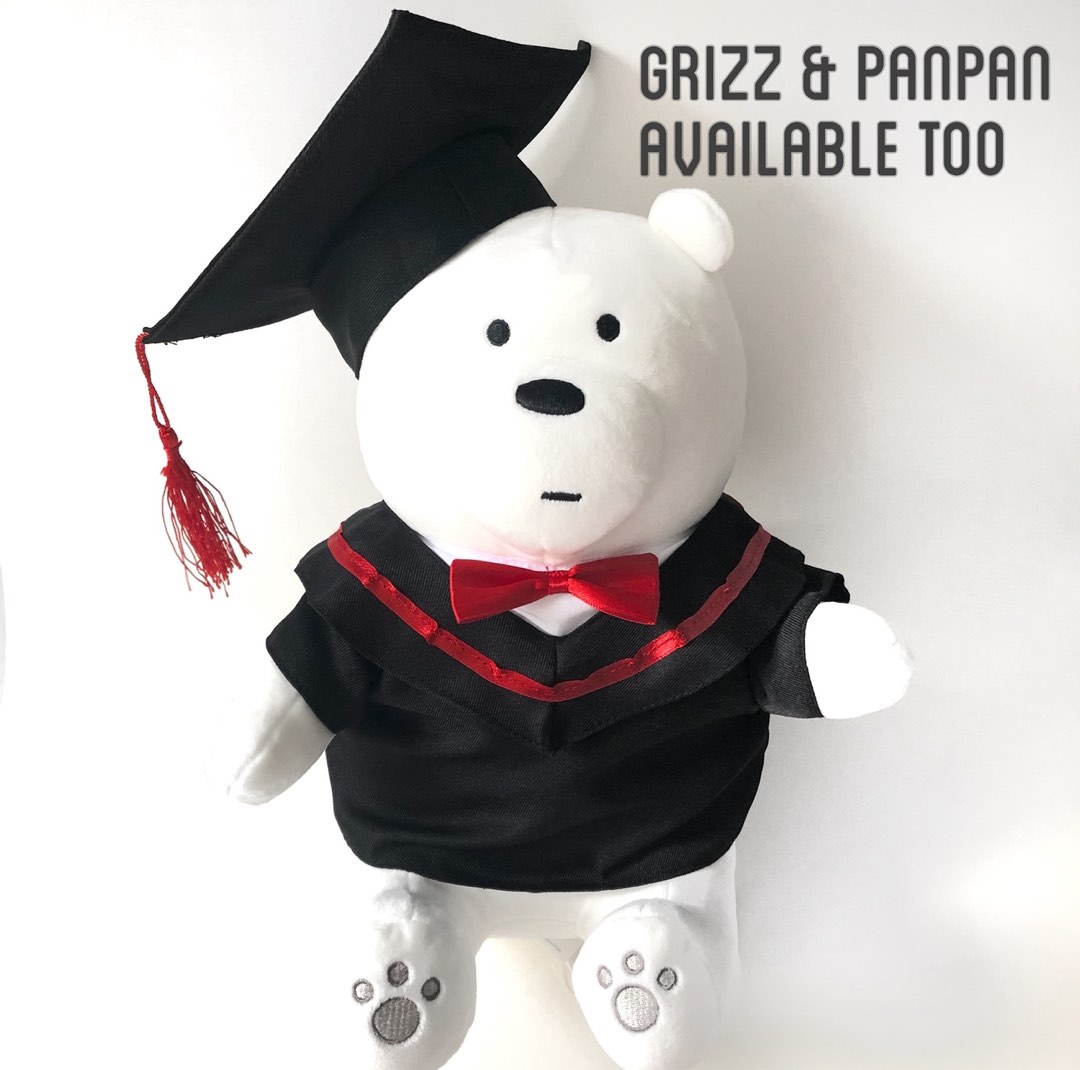 Ice Bear (We Bare Bears) Graduation Plush, Hobbies & Toys, Toys & Games ...