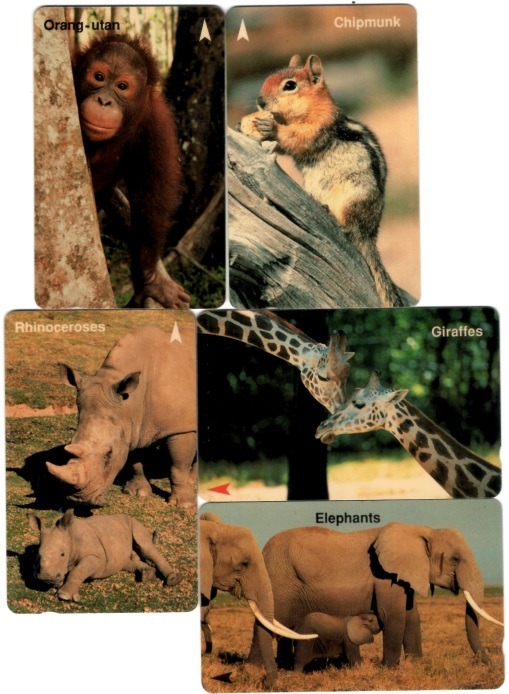 Phone Cards - Animals, Hobbies & Toys, Memorabilia & Collectibles ...
