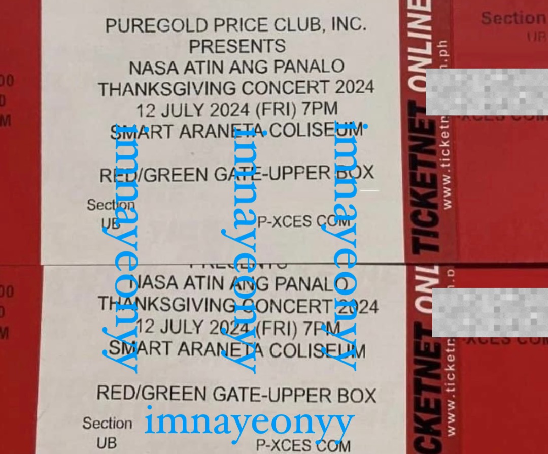 BINI UPPER BOX UB PUREGOLD THANKSGIVING CONCERT, Tickets & Vouchers ...