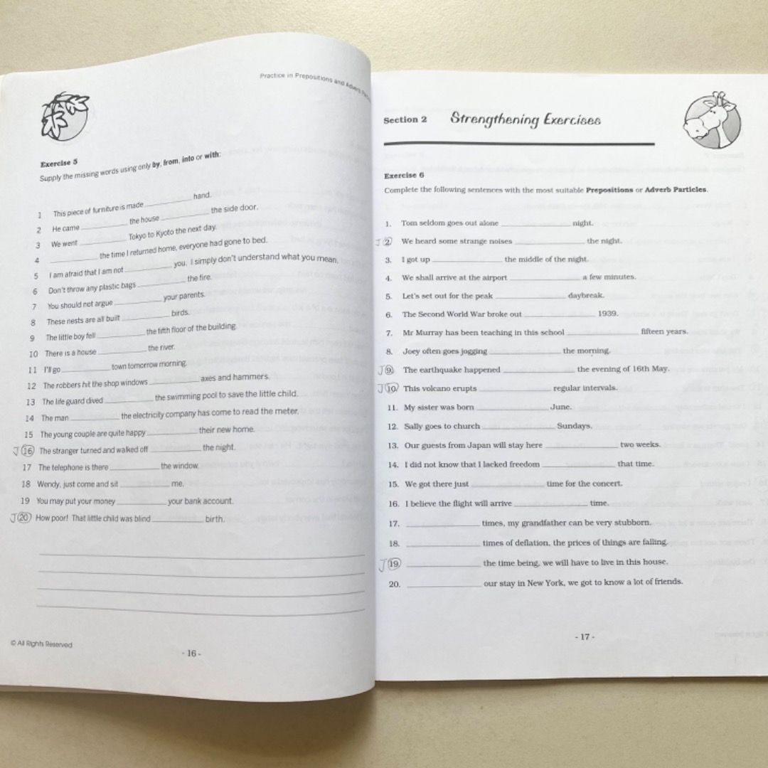 Junius Publications｜Practice in Prepositions and Adverb Particles Book ...