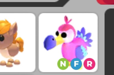 Roblox Adopt Me MFR (Mega Fly Ride) Platypus, Video Gaming, Video Games ...