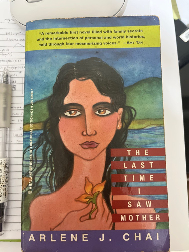 The Last Time I Saw Mother - Arlene Chai, Hobbies & Toys, Books ...