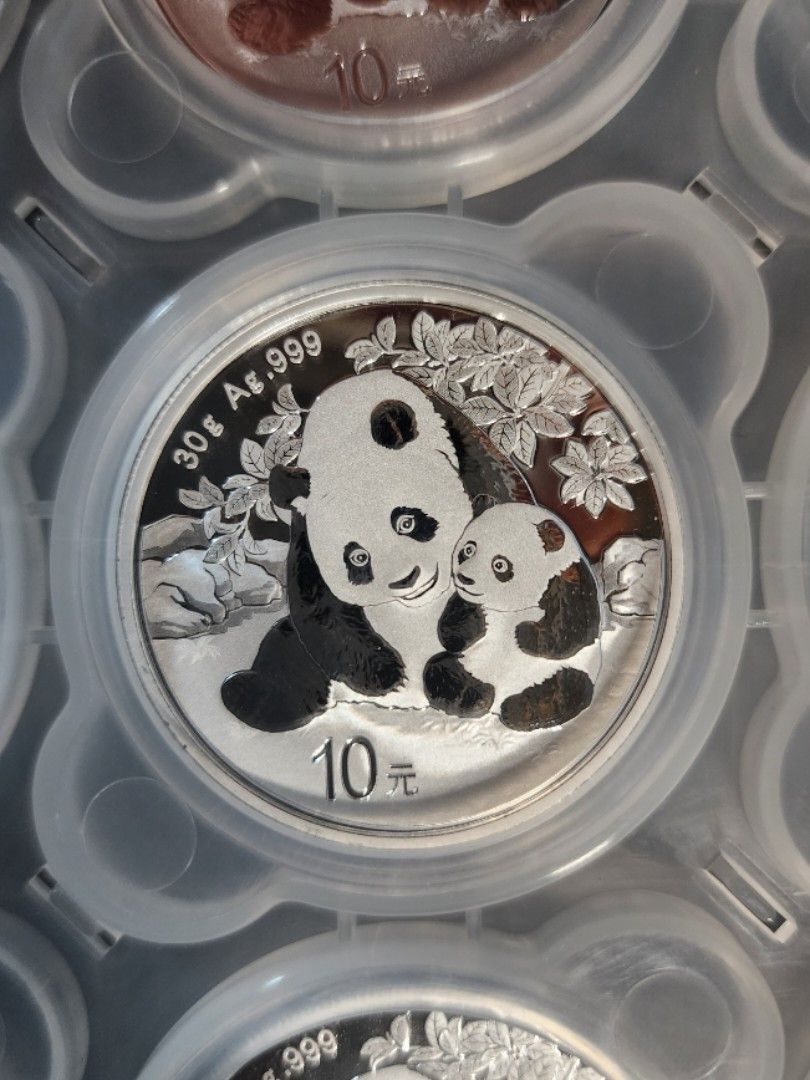 2024 Tray of 15 Chinese Silver Pandas (30g), Hobbies & Toys ...