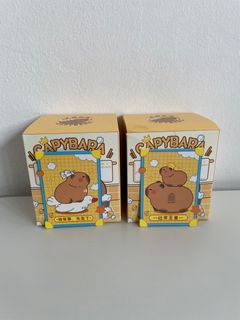 Capybara blind box, Hobbies & Toys, Toys & Games on Carousell