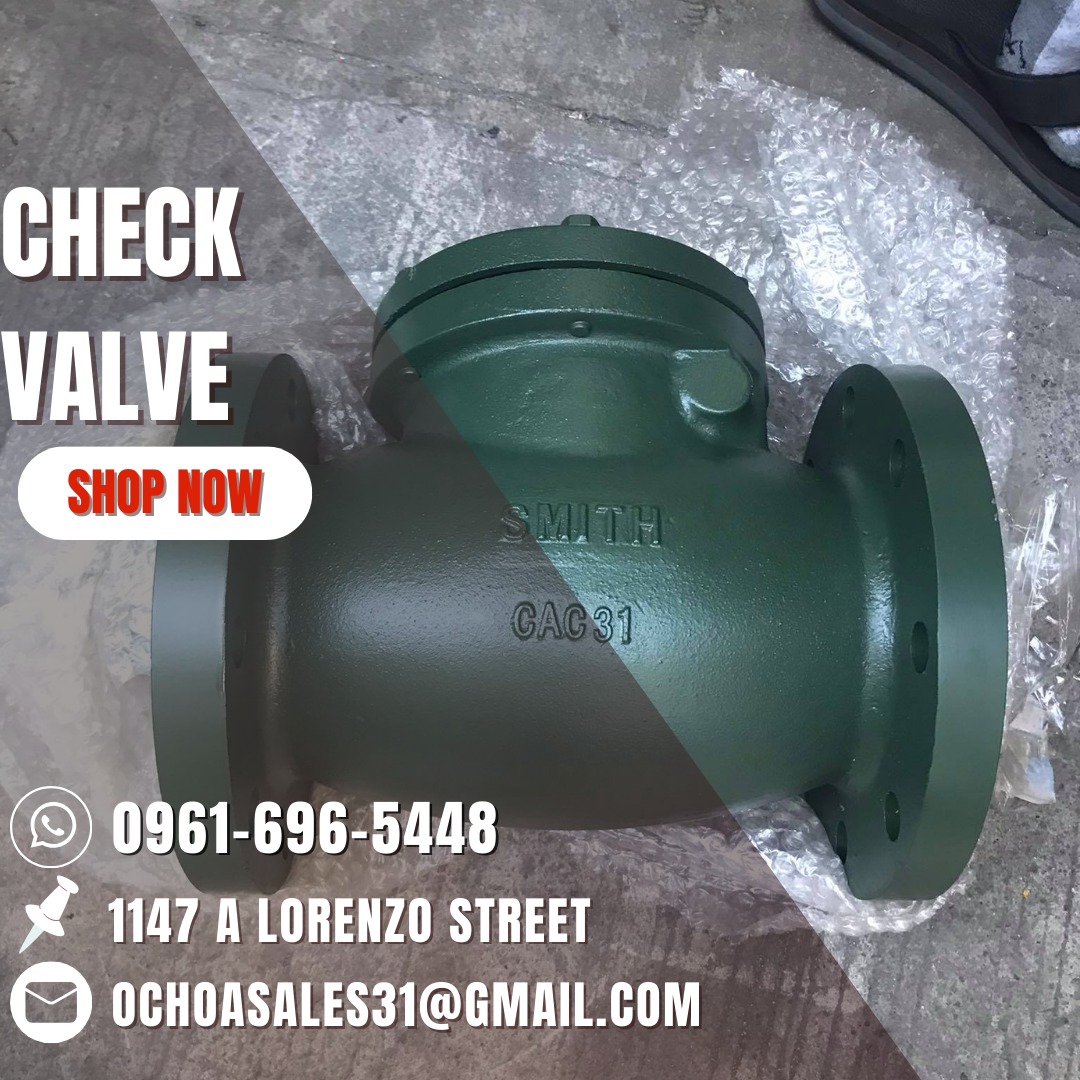 CHECK VALVE, Commercial & Industrial, Construction & Building Materials ...