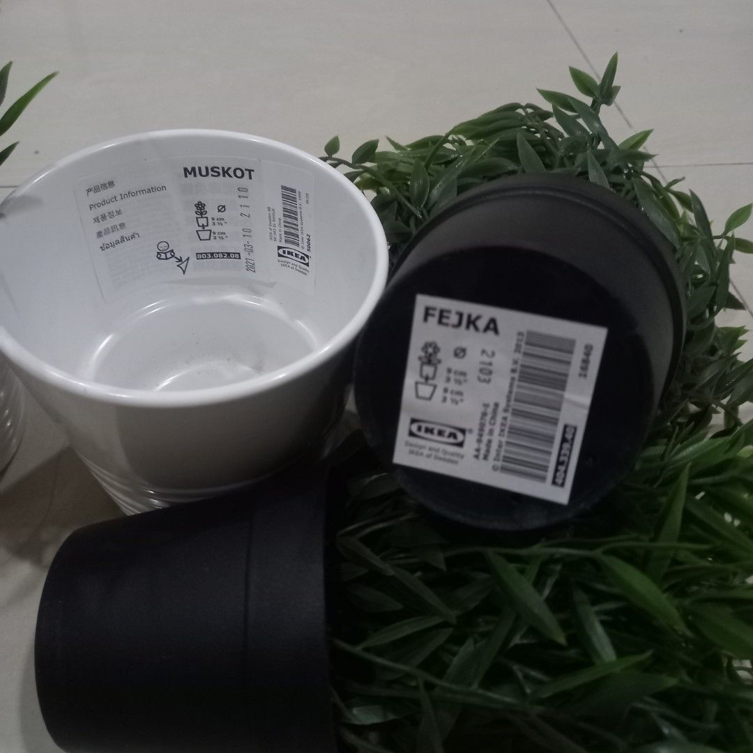 Decoration IKEA POT & PLAN ( MUSCOT + FEJKA), Perkebunan di Carousell