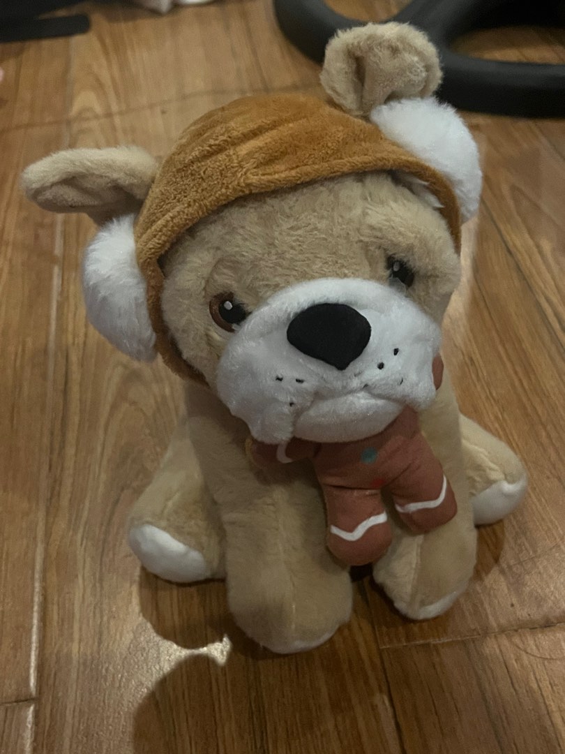 Miniso Cute Dog Gingerbread Plush Hobbies Toys Toys Games On