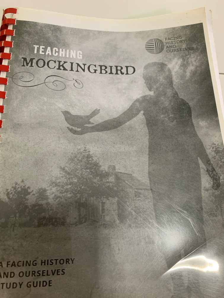 Teaching guide Mockingbird, Hobbies & Toys, Books & Magazines ...