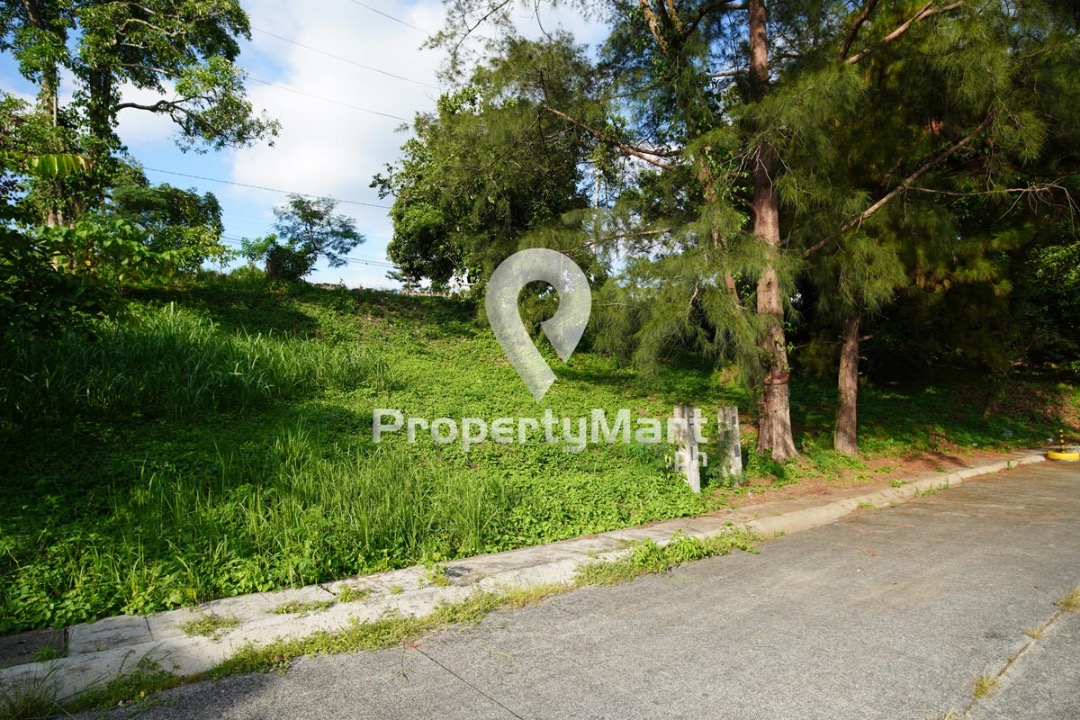 Through Lot for Sale in Canyon Woods, Tagaytay, Property, For Sale, Lot ...