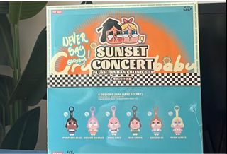 Popmart crybaby sunset concert series pendent blind box, Hobbies & Toys ...