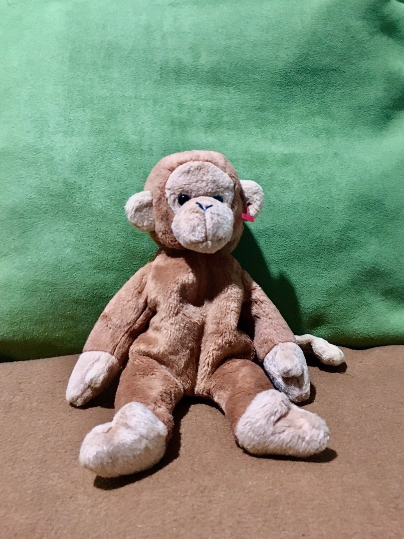 Boneka Monyet/Monkey “Bongo” by TY, Toys & Collectibles, Mainan di Carousell