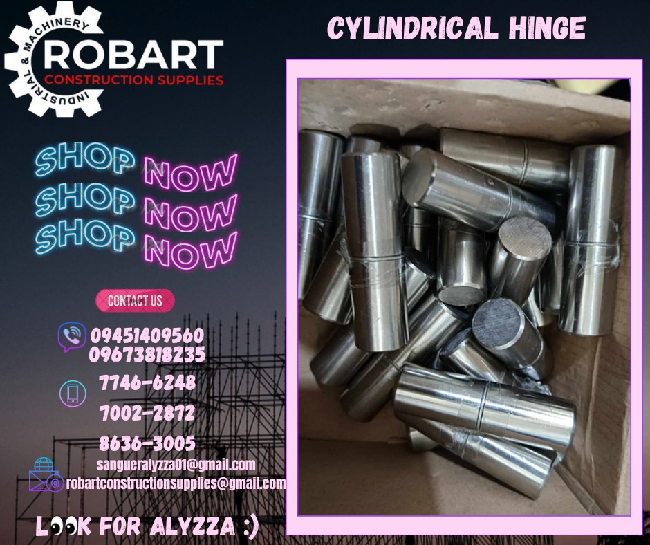Cylindrical Hinge Material: Stainless Size: 20mm x 3", Commercial ...