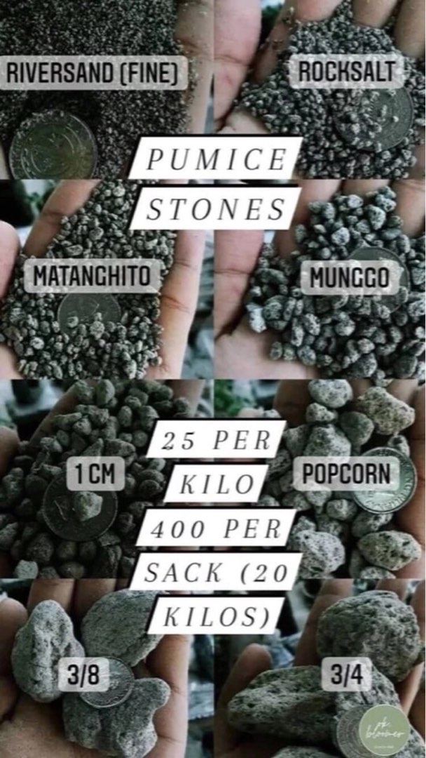 GARDENING ESSENTIALS - SOIL FERTILIZER COCO PEAT AND CUBES RICE HULL ...