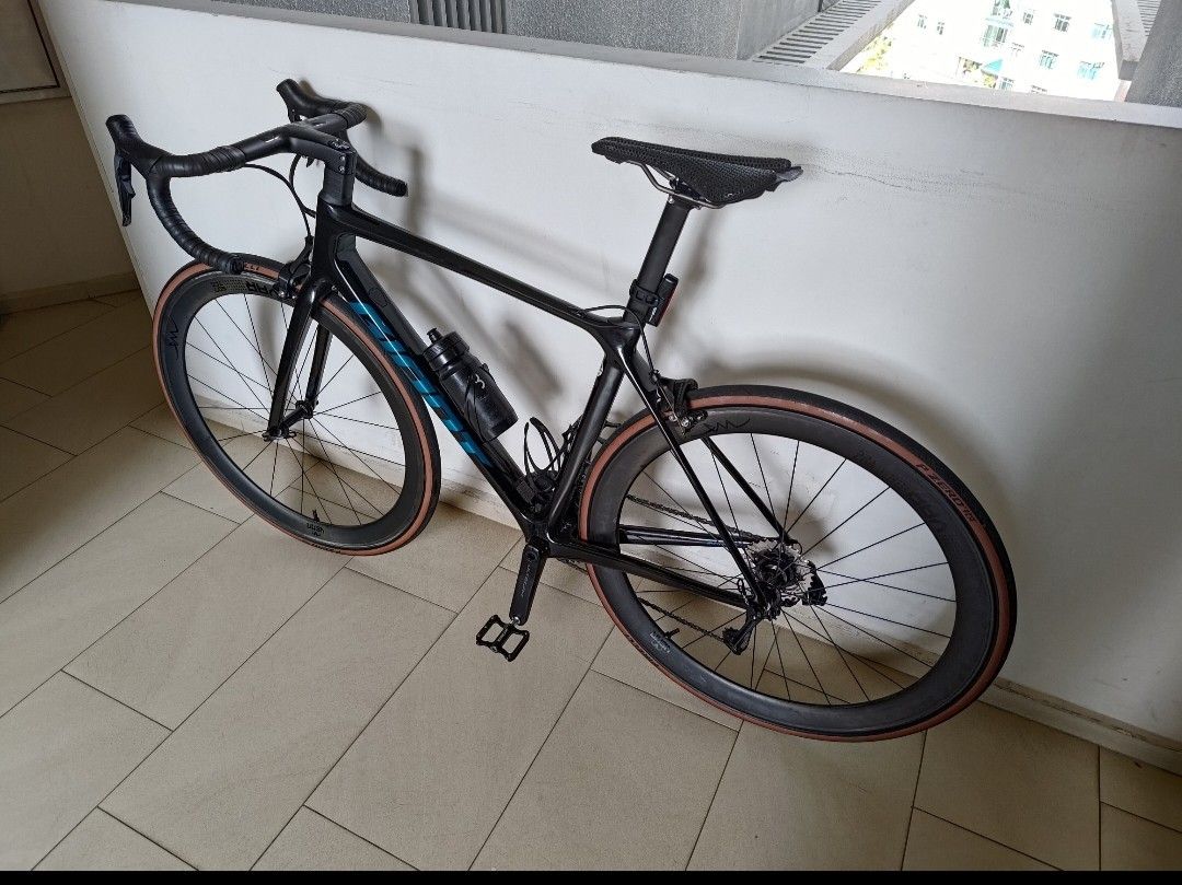 (Frameset only) Giant TCR Advanced 2 2022 (Pro) M, Rim Brake, Sports ...