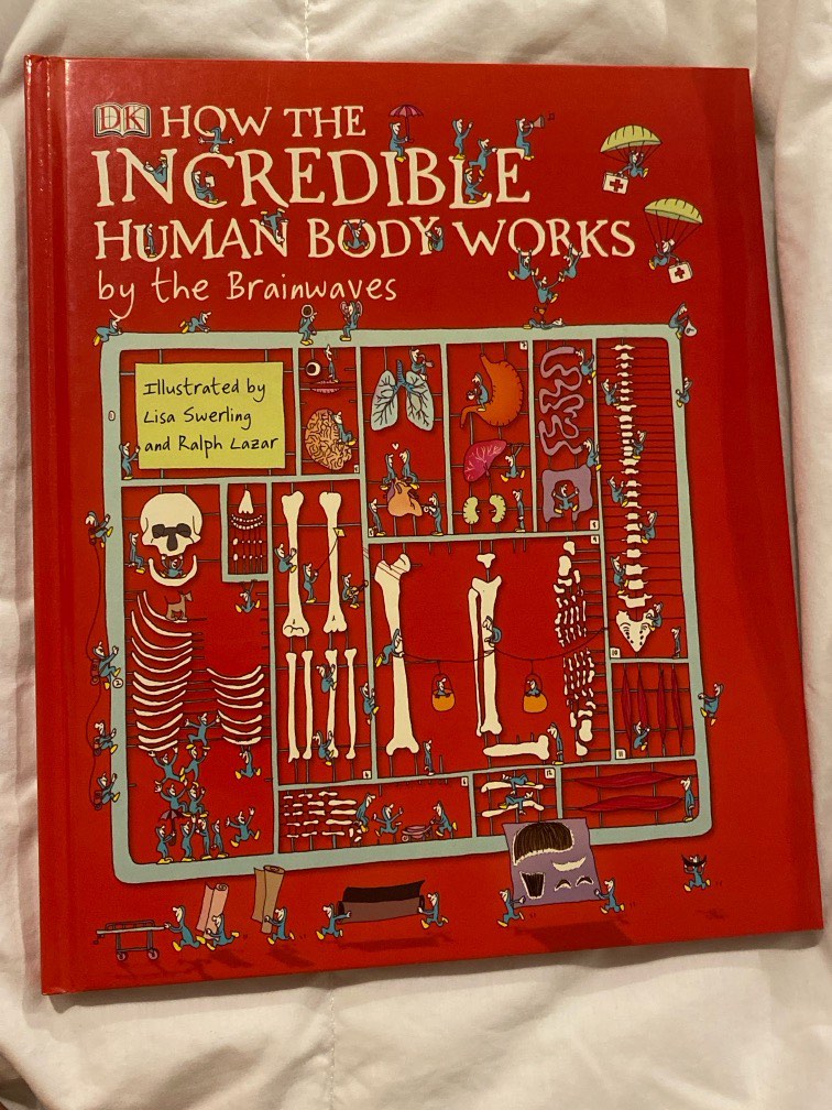HOW THE INCREDIBLE HUMAN BODY WORKS Brainwaves, Hobbies & Toys, Books ...