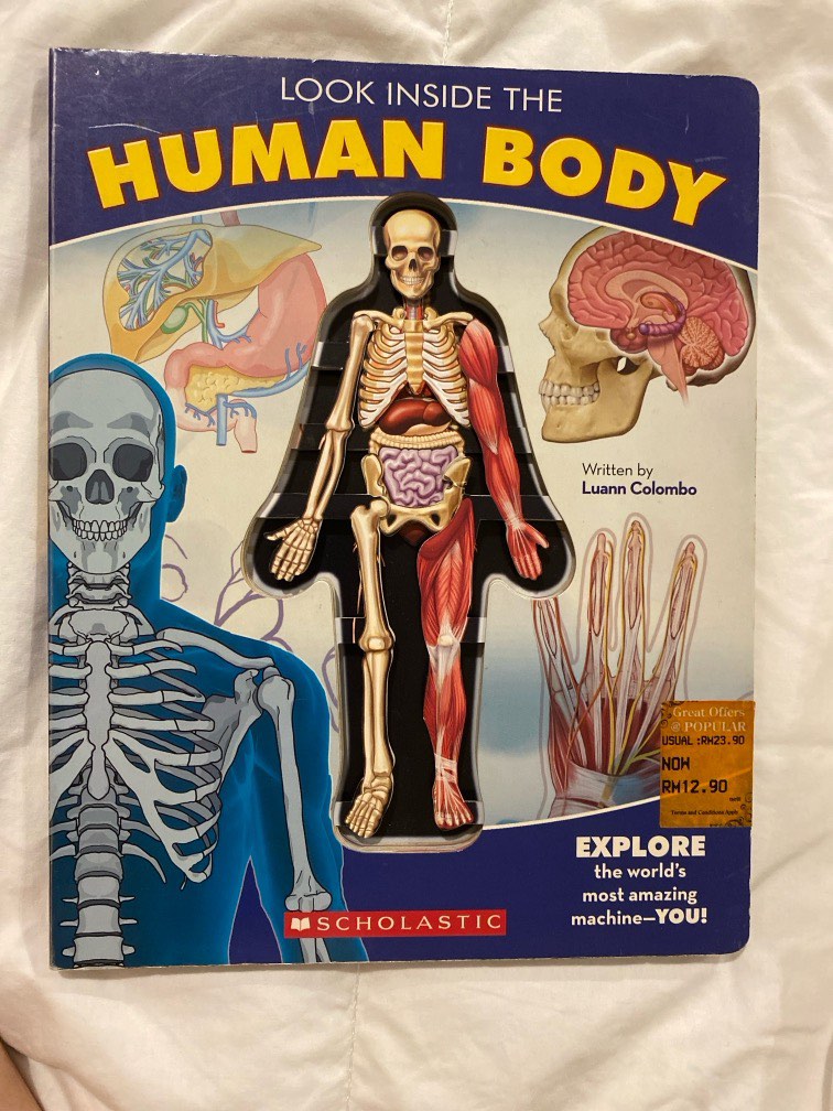 Look Inside The Human Body Fun Science Book for Children, Hobbies ...
