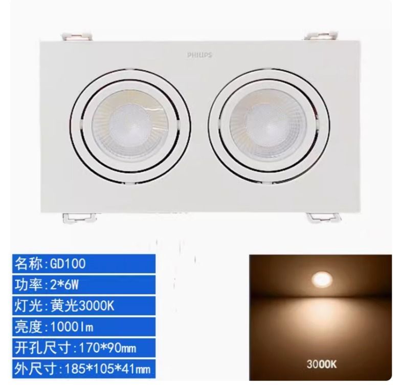 飛利浦 Philips GD100B LED 雙頭筒燈 鋁質天花 天花燈 嵌入式 6Wx2 3000k 黃光 開孔 90x170mm, 傢俬 ...