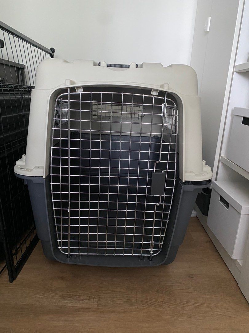 Airline approved XXL crate, Pet Supplies, Homes & Other Pet Accessories ...