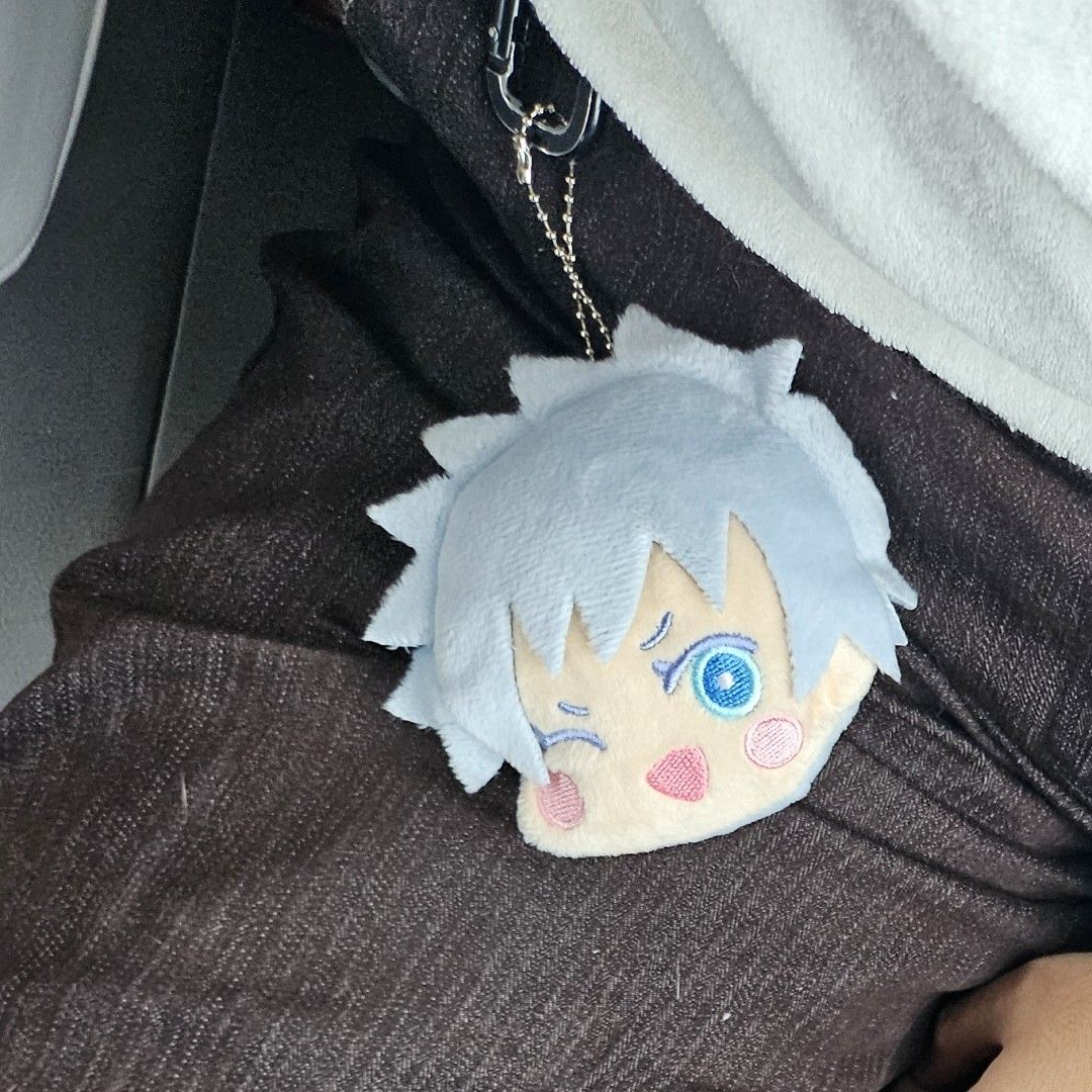 Jujutsu Kaisen JJK Gojo Satoru Gojo mofumofu plush pouch, Hobbies ...