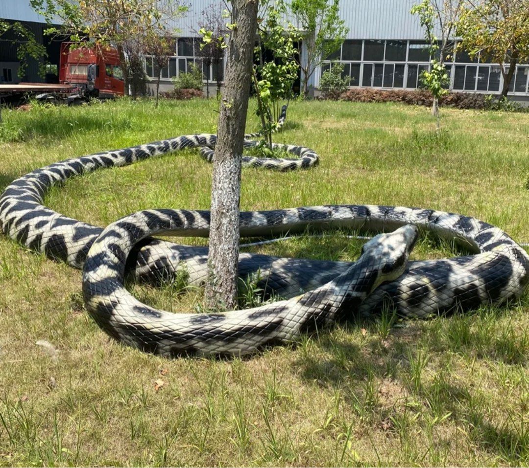 Life Size Animatronic Anaconda Snake Realistic Moving Robot Model ...