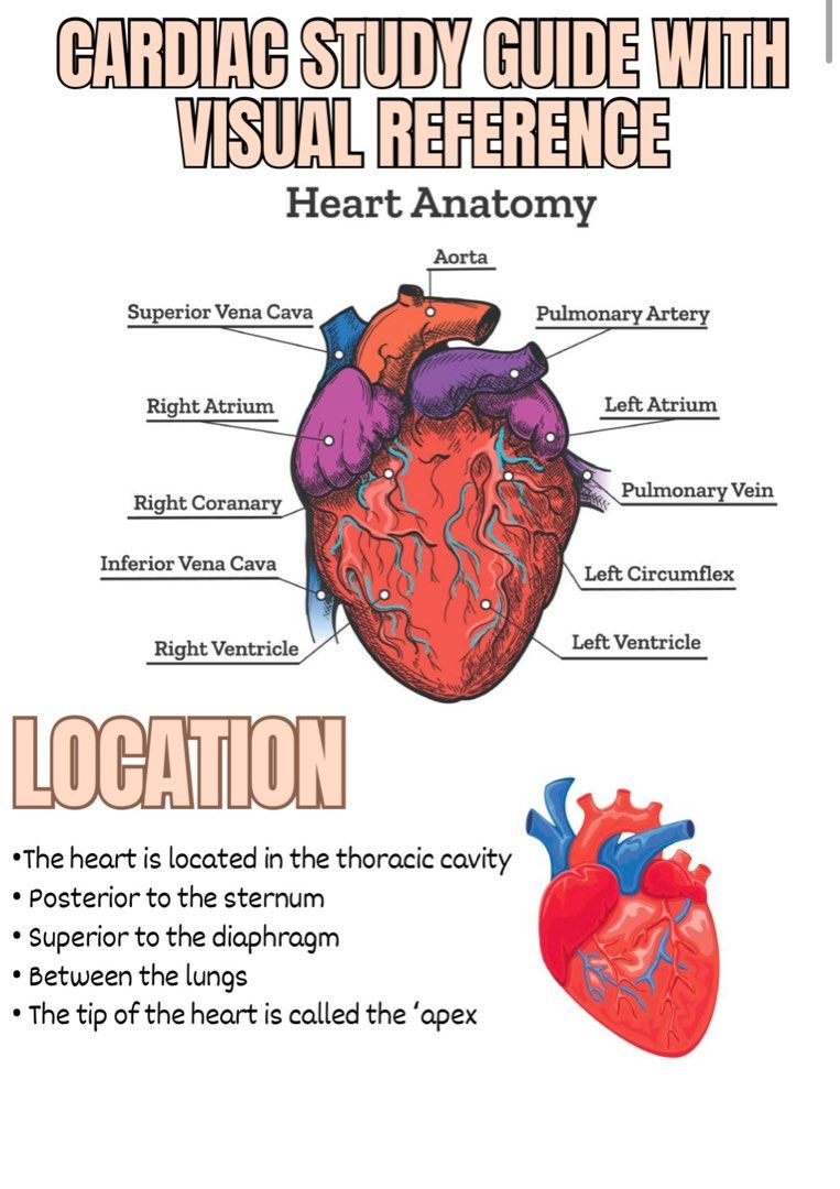 Nursing Study Notes, Hobbies & Toys, Books & Magazines, Assessment ...