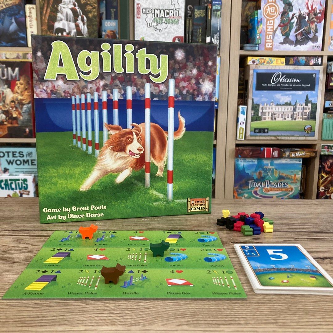 Agility Board Game, Hobbies & Toys, Toys & Games on Carousell