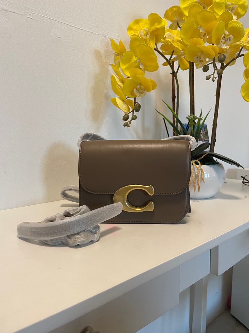 Coach Idol Bag in Dark Stone, Luxury, Bags & Wallets on Carousell