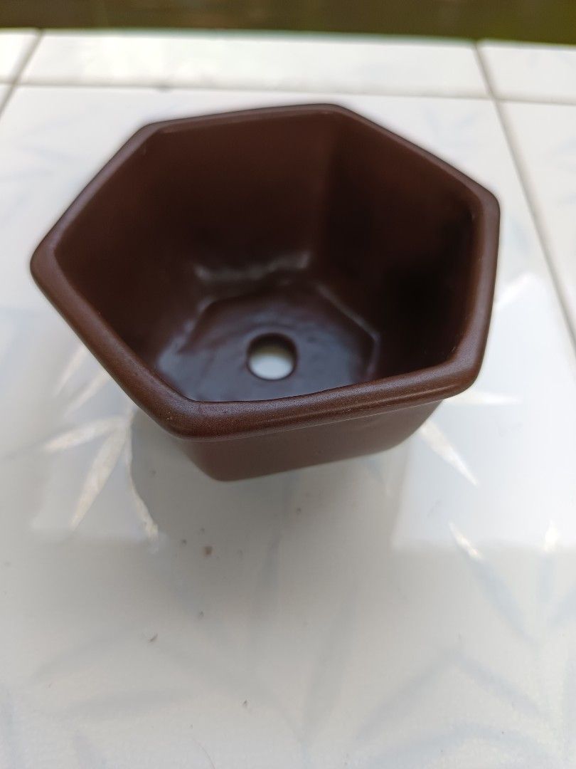 Pot Tanaman Hias Bonsai Keramik Segi Enam Polos, Perkebunan di Carousell